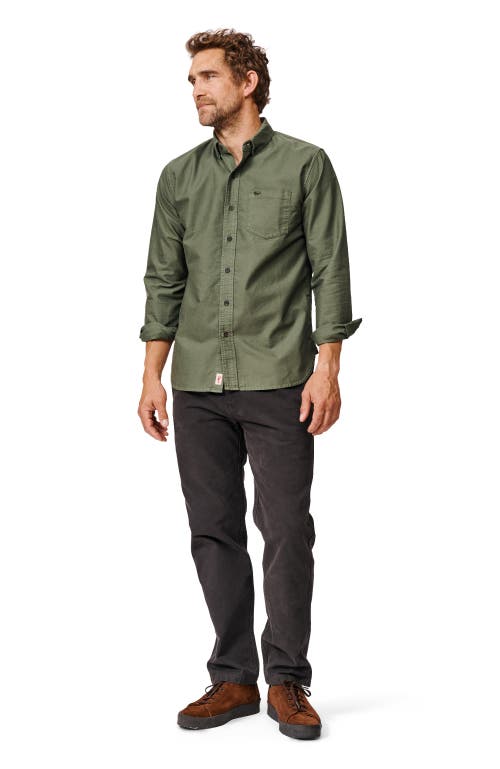AUBIN aldridge oxford button down shirt